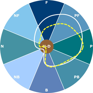 Interaction Pattern Report